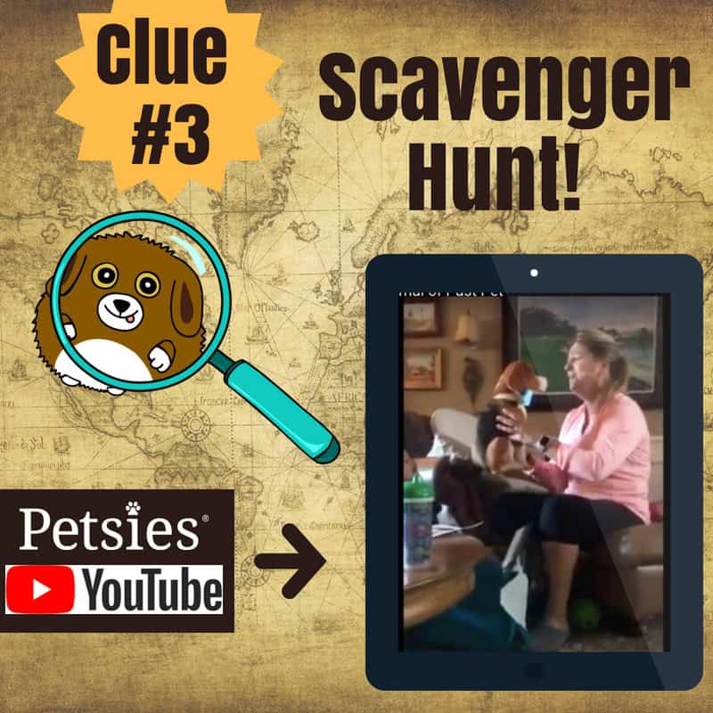 Social Media Scavenger Hunt! (6) | Budsies Custom Gifts Blog