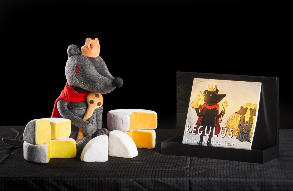 Author Aaron Ozee Brings Book Character to Life with Budsies! | Budsies ...