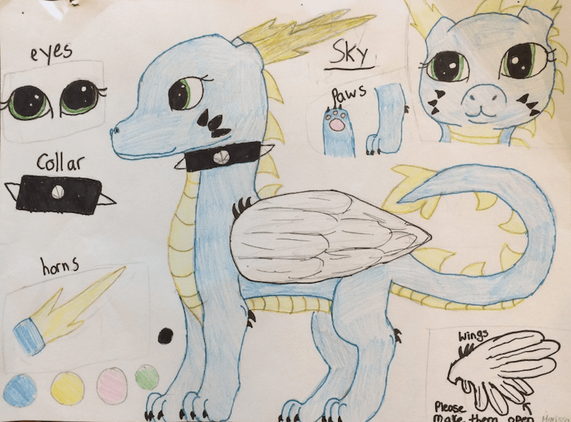 Which drawings make great Budsies?