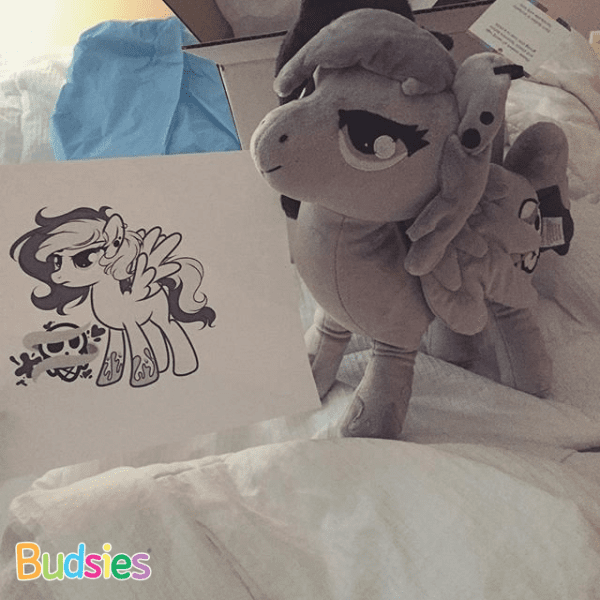 My Little Pony Plushies, MLP OC | Budsies